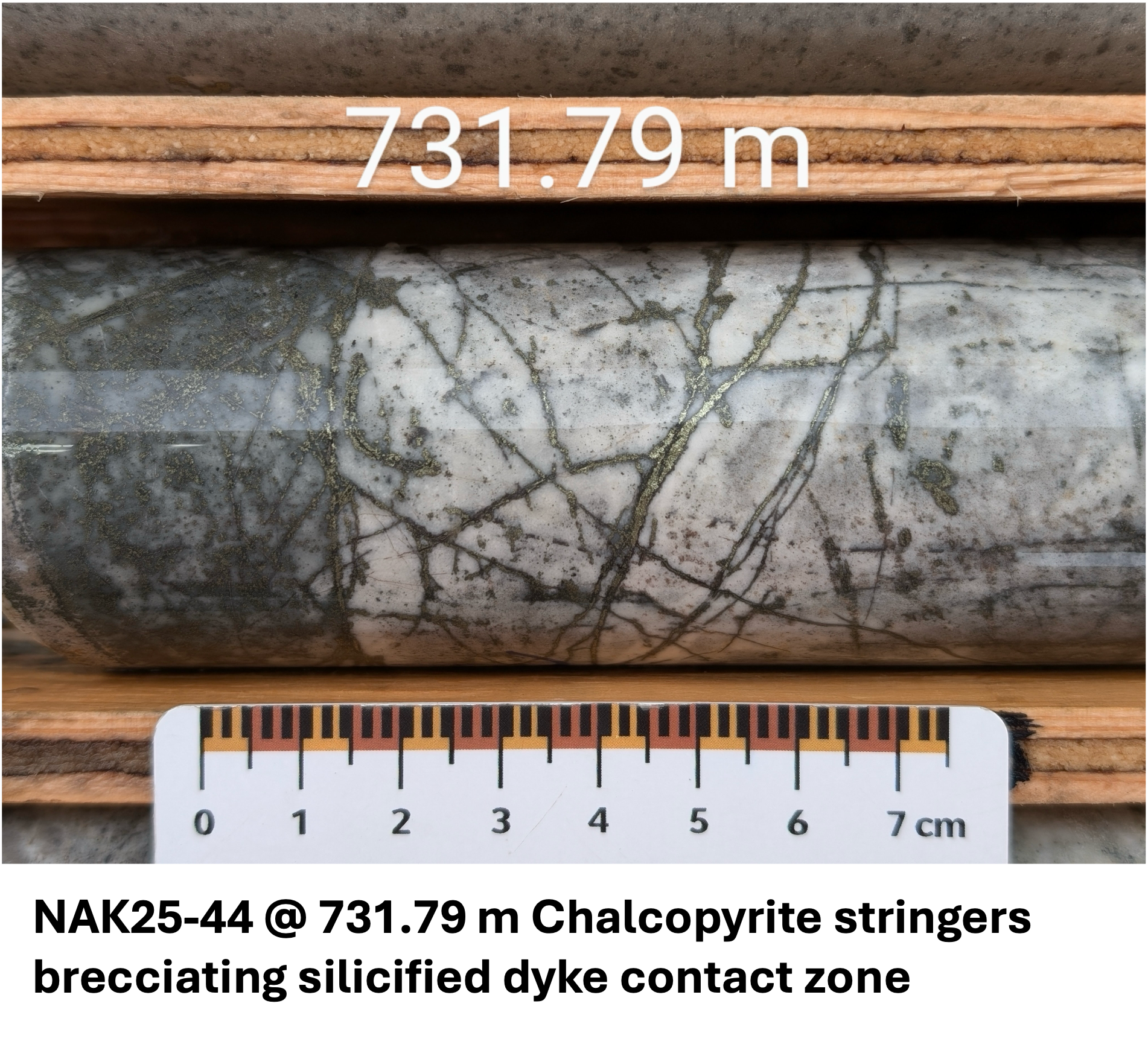 2025 NAK Drill Core Gallery | American Eagle Gold