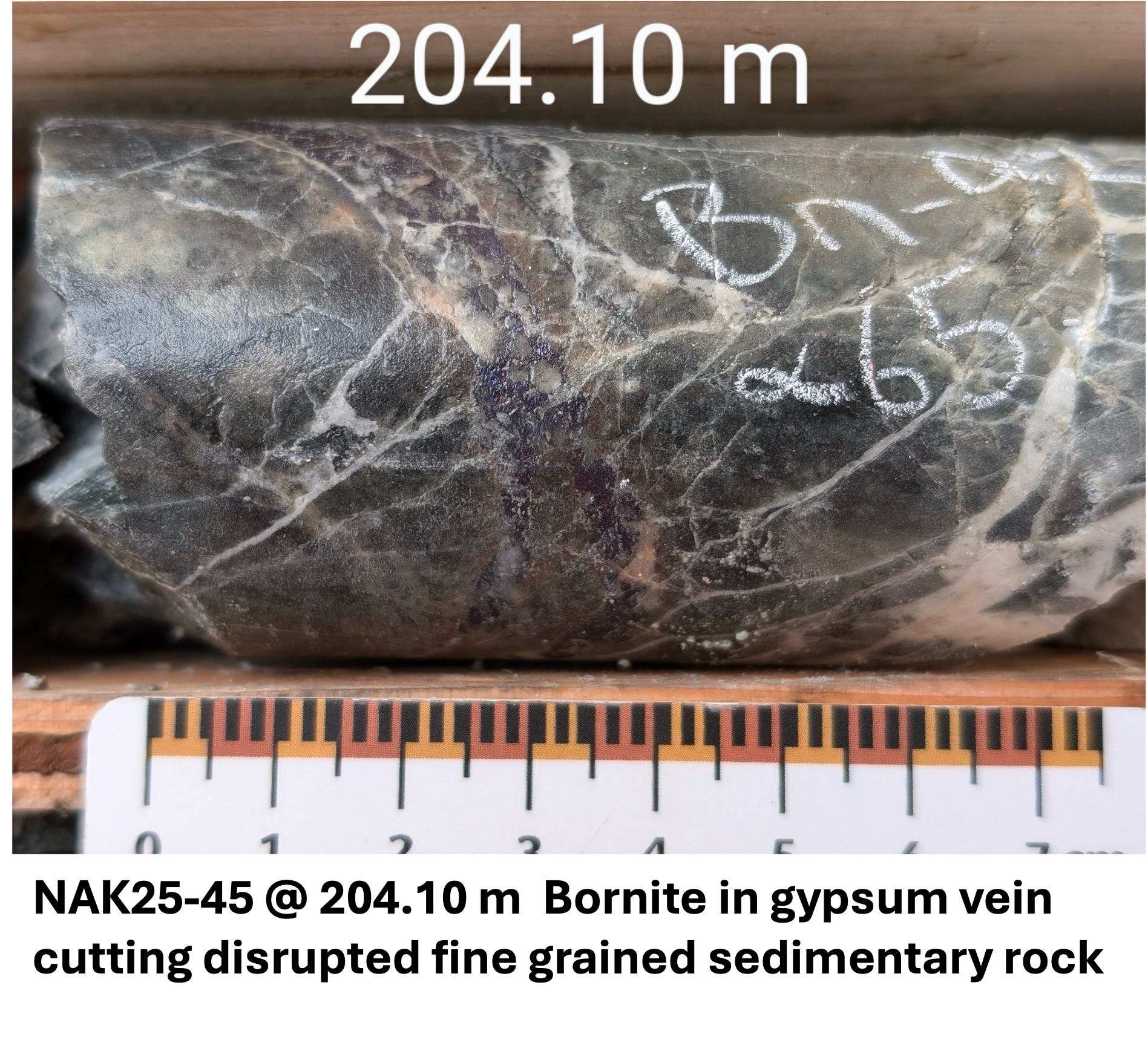 2025 NAK Drill Core Gallery | American Eagle Gold